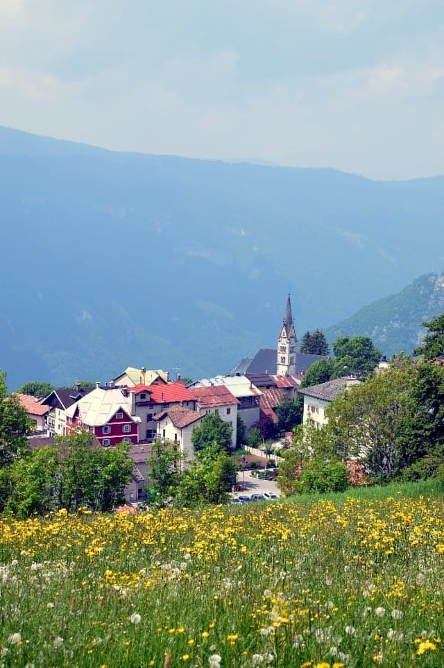 Luserna bando Coliving — idealista/news