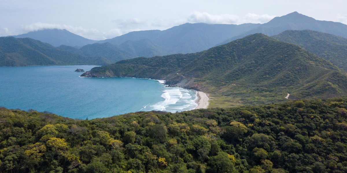 El Dorado cosa è? Significato e leggenda — idealista/news