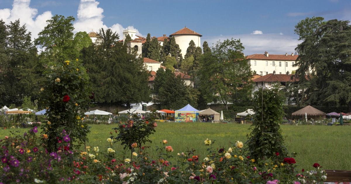 Il FAI apre le porte Castello e Parco di Masino, scopri le date per le ...