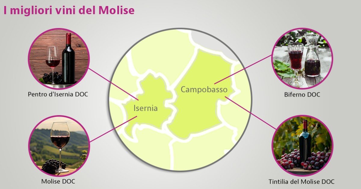 I 4 migliori vini Molisani: quale provare tra bianco e rosso ...